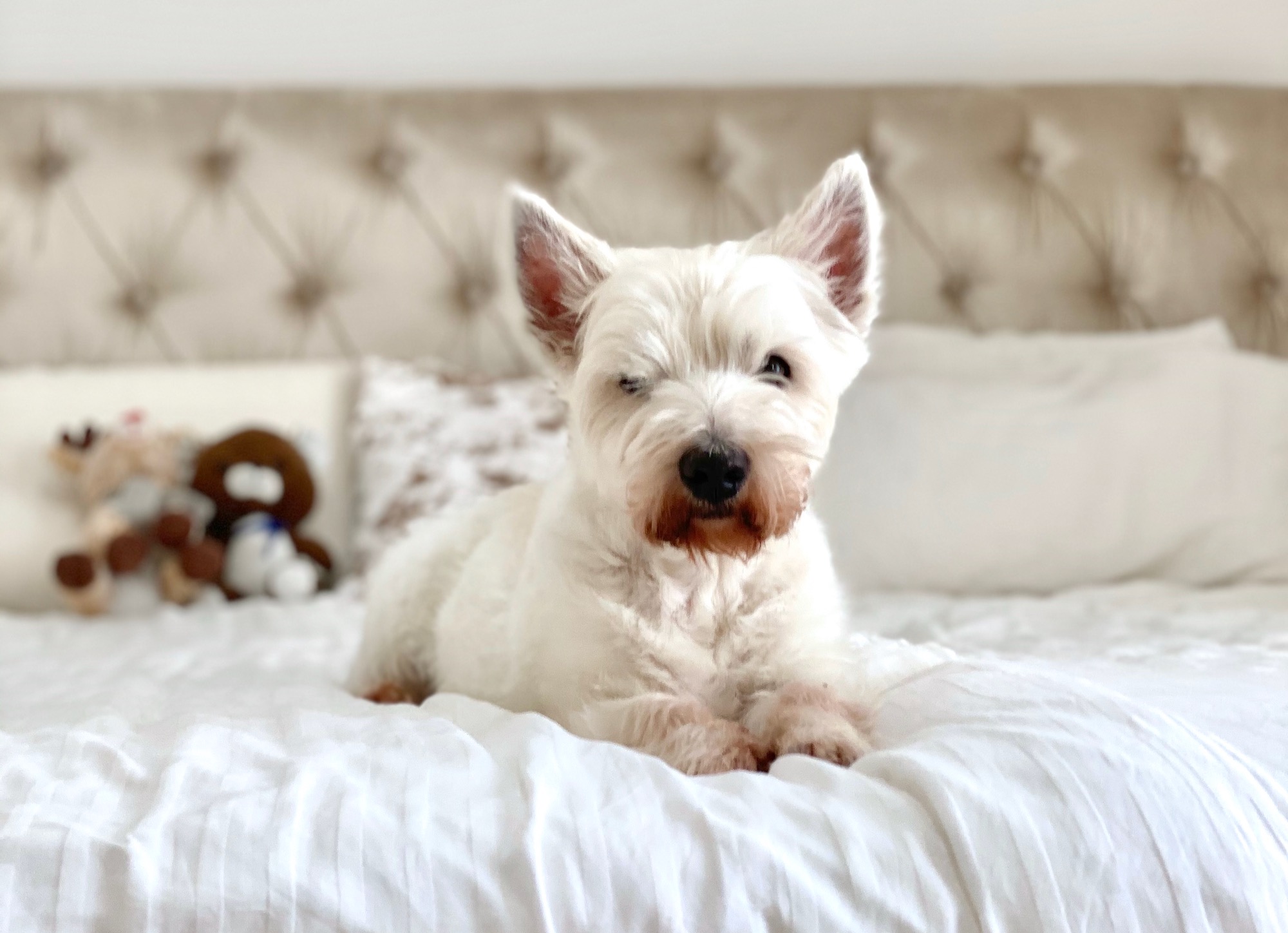 Living with a non-minimalist - what to do? - Kim Bedene